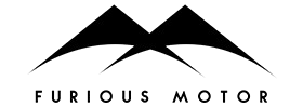 China Dongguan Furious Technology Co., Ltd. logo