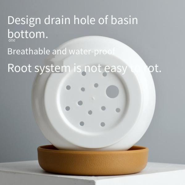 Quality Modern Self Watering Planter Pot for Home Decor for sale