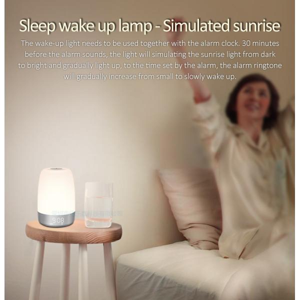 Quality CE AL 05 Ambient Night Light Wake Up Night Light With Alarm Clock for sale