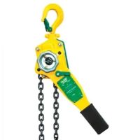 Quality Max Lifting Height 6m Electric Chain Hoist 1 Ton 2 Ton 3 Ton 5 Ton 7.5 Ton Light for sale
