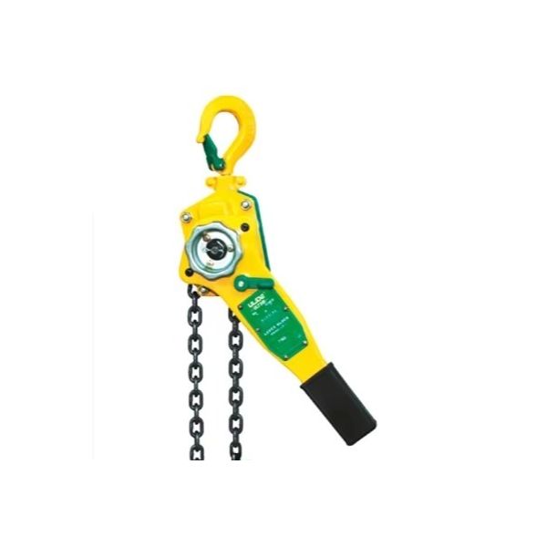 Quality Max Lifting Height 6m Electric Chain Hoist 1 Ton 2 Ton 3 Ton 5 Ton 7.5 Ton Light Compact Chain Hoist OEM Avaliable for sale