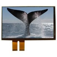 Quality Customized 10.1inch SPI TFT LCD Display IPS LCD Screen 1920(RGB)X1080 for sale