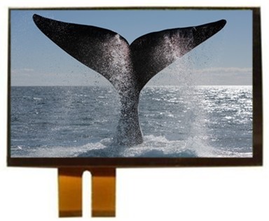 Quality Customized 10.1inch SPI TFT LCD Display IPS LCD Screen 1920(RGB)X1080 for sale