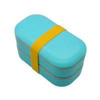 Quality Customized Logo Portable Food Grade BPA Free Insulated Bento Lunch Box for Adult for sale