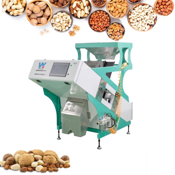 Quality Optical Cardamom Colour Sorting Machine Multifunction Tea Coffee Bean Dried Nuts for sale