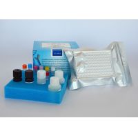 Quality Penicillin G ELISA Test Kit , safety food , Testing kit , Rapid assay protocol for sale