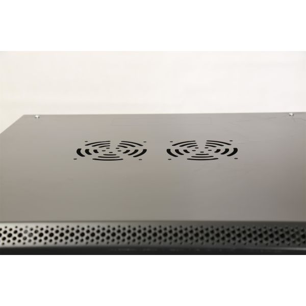 Quality Floor Standing Server Cabinet with Powder Coated Surface Finish Network Rack for sale