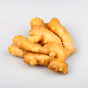 Quality Organic Fresh Yellow Young Ginger Farm-Grown Chinese Ginger High-quality 100% for sale
