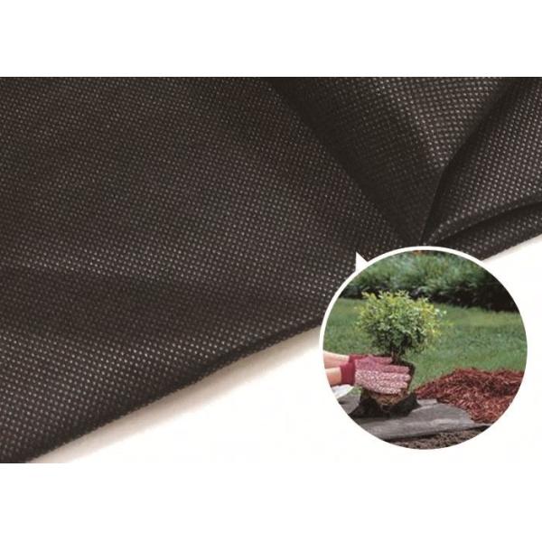 Quality Biodegradable PP Spunbond Non Woven Fabric For Gardening for sale