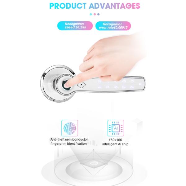 Quality TTlock Fingerprint Bluetooth Smart Lock Keyless Zinc Alloy Handle for sale