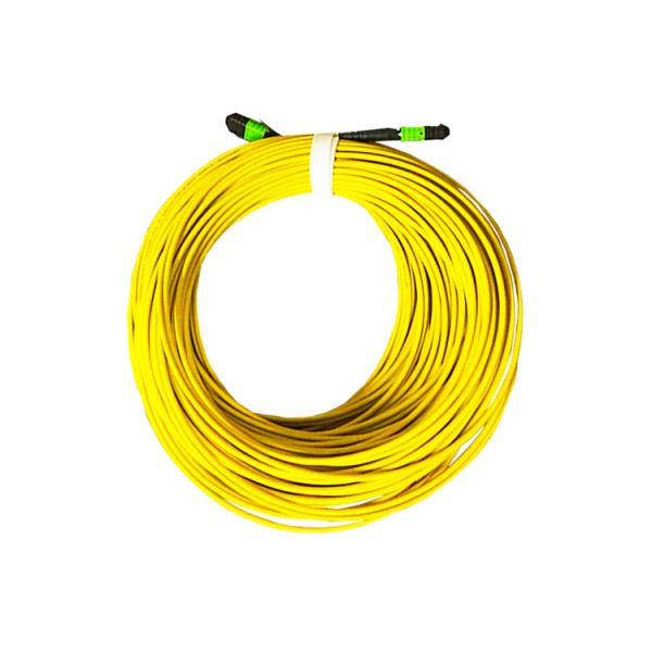 Quality 24 Core Fiber Optic To 24F MPO MTP Patch Cord Fiber Trunk Cable for sale