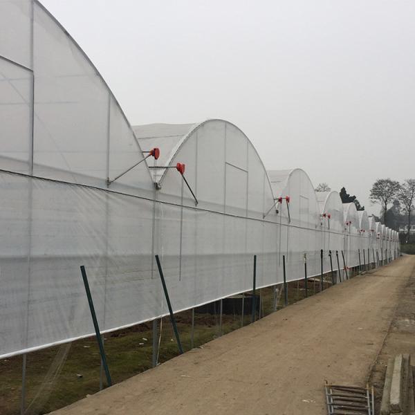 Quality 200 Micron PE Film Multi Span Greenhouse Structure / Polyethylene Foil for sale
