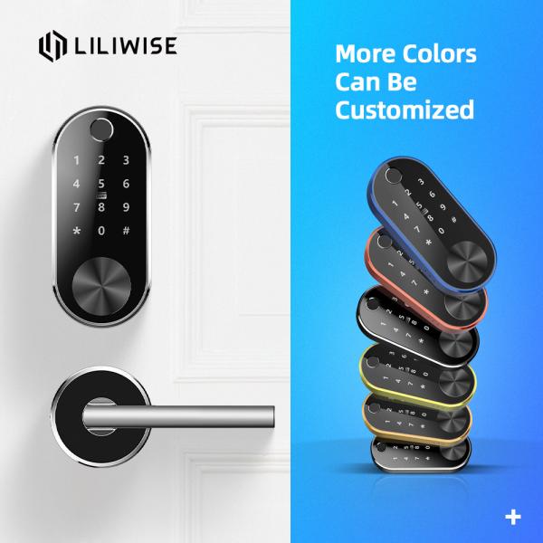 Quality Bluetooth Door Lock Wireless Wifi Control Digital Fingerprint Split Electronic for sale