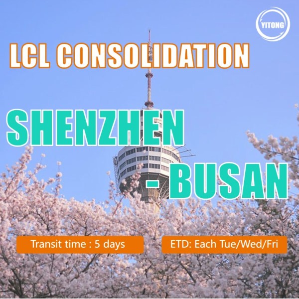 Quality LCL Logistics From Shenzhen To Busan Korea for sale