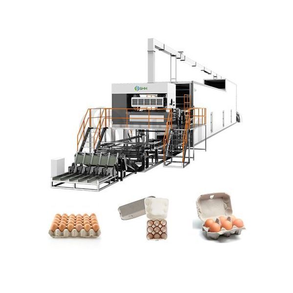 Quality Customized Paper Pulp Tray Making Machine Molded Pulp Packaging Production Line for sale