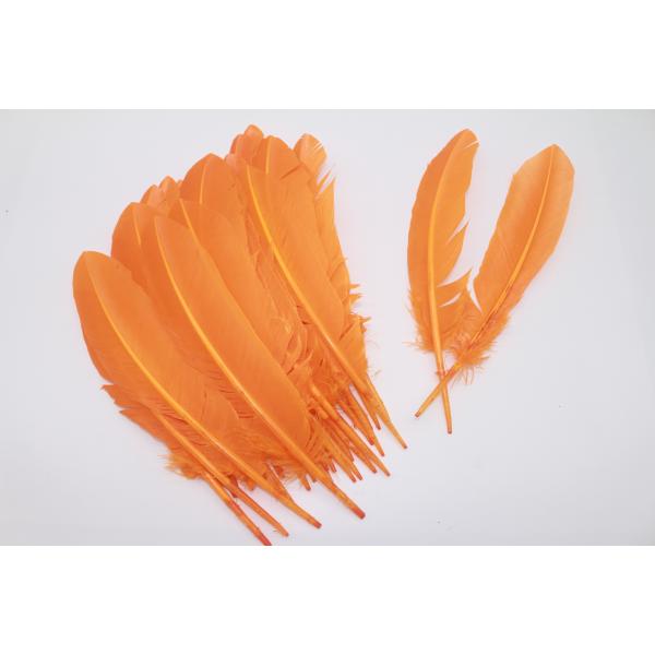 Quality Party Decoration Colored Turkey Feathers Event Supplies 10-12 inch for sale