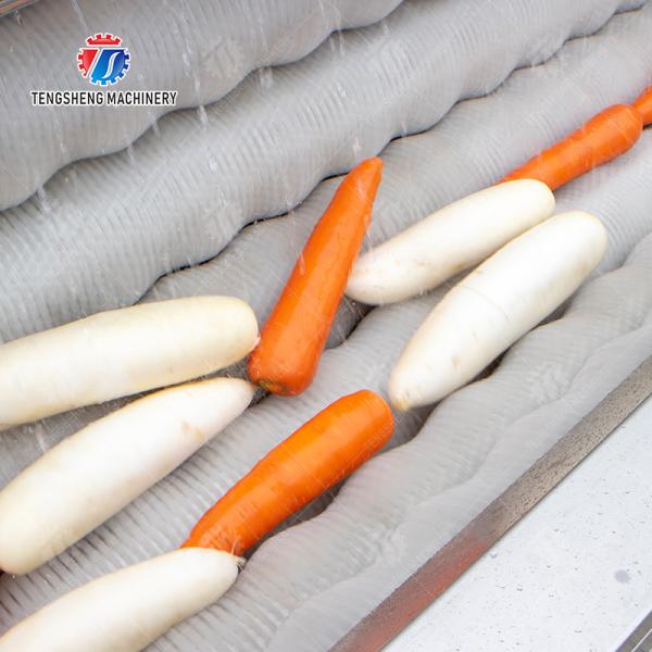Quality Enhance Your Production with Our State-of-the-Art Fruit And Vegetable Processing for sale