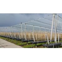 Quality High Density Hail Net Made from Virgin HDPE Material Suitable for Garden and for sale