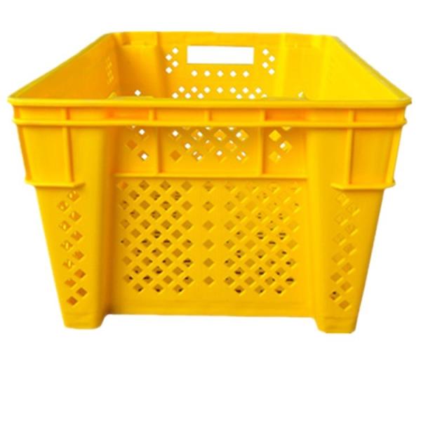 Quality Functional Design Foldable Plastic Food Storage Containers for Fruits and Vegetables for sale