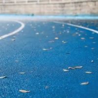 Quality Indoor Synthetic Athletic Track EPDM Rubber Granule For Stadium Sports 9-13mm for sale