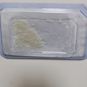 Quality Porous Hydroxyapatite Synthetic Bone Graft Substitutes Bone Substitutes In for sale