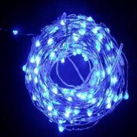 China 10m/100leds battery operated rope lights outdoor use factory