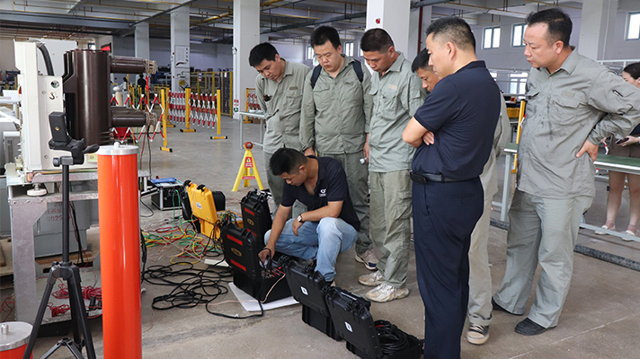 High accuracy GM-5kV High Voltage Digital Megohmmeter Insulation resistance tester 5