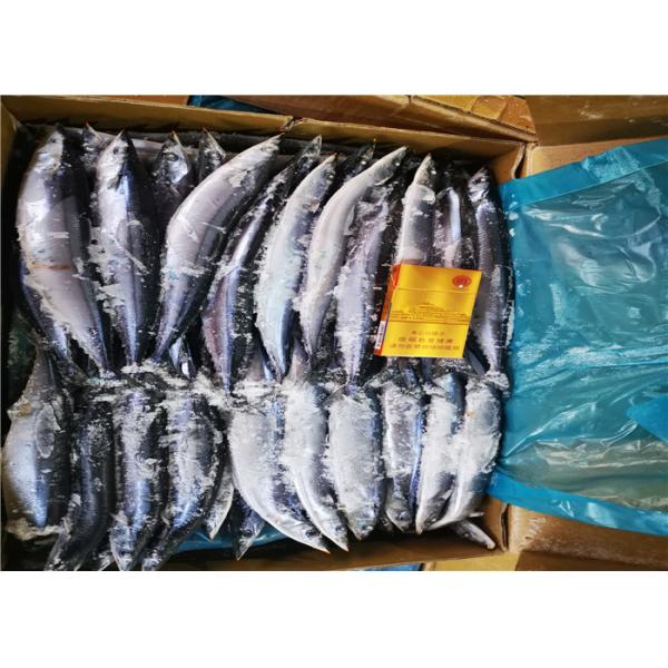 Quality 90g 100g Whole Round Seafrozen BQF Pacific Saury Fish for sale