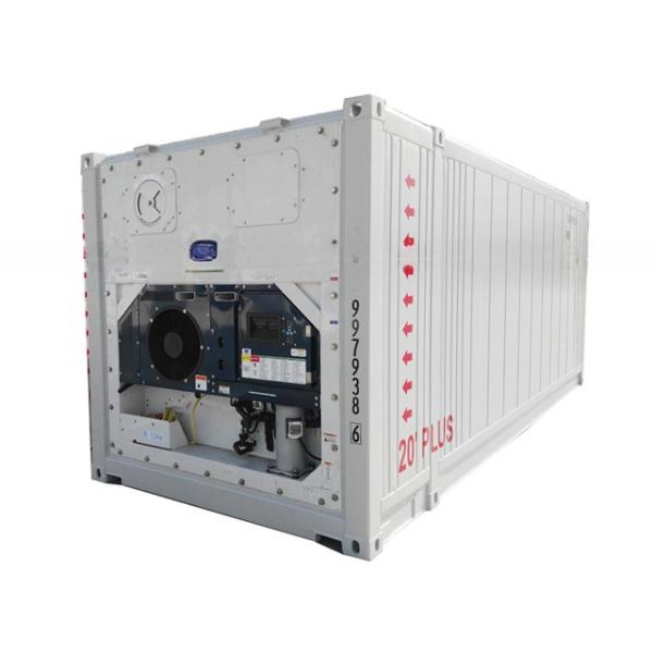 Quality Customized Dimension 23ft BV Certified Refrigerator Storage Container -30- 30C for sale