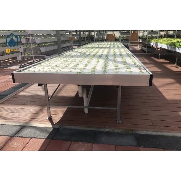 Quality Customized Ebb And Flow Rolling Benches Movable Hydroponic Flood Tables For Greenhouse for sale