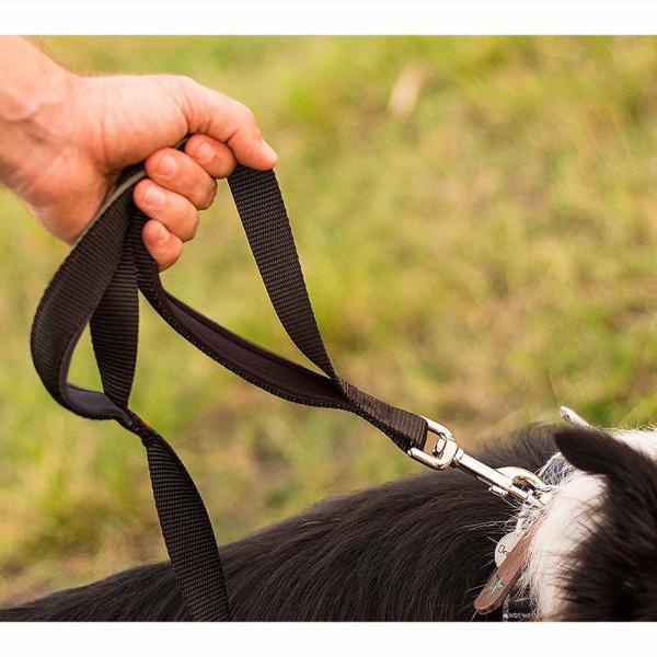 Quality 2 Handles Nylon Dog Leash 6 FT Long For Extra Control Reflective Stitch for sale