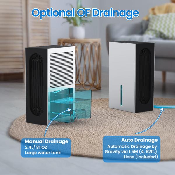 Quality 2.4 L Household High Efficiency Dry Dehumidifier▕ DN-610 for sale