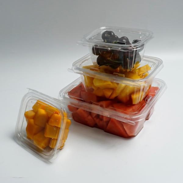 Quality 16 Oz Clear Plastic Container Tamper Evident Proof Pre Cut Fruit Clamshell Clear for sale