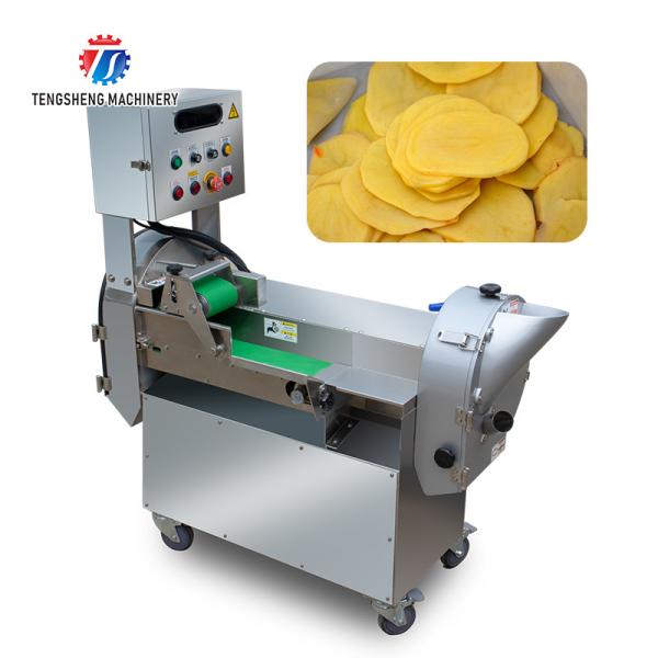Quality Tengsheng Infeed Chute Fruit Processing Machine Cucumber Lime Fracturing for sale
