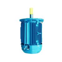 Quality Asynchronous Electric Motor Flange Mounting High Temperature Resistant CNC 7HP for sale