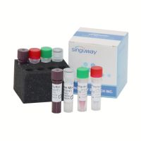 Quality Real Time Nucleic Acid Detection Kit Influenza PCR Kit 48 96 Tests / Box for sale