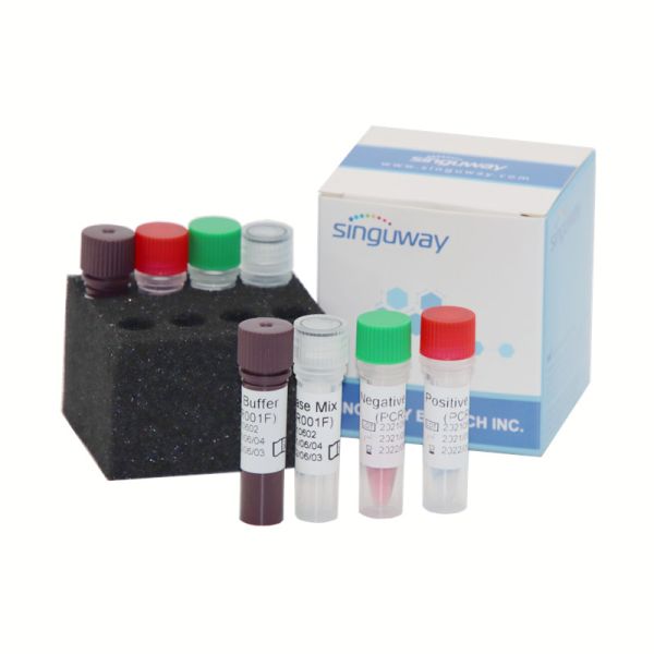 Quality Real Time Nucleic Acid Detection Kit Influenza PCR Kit 48 96 Tests / Box for sale