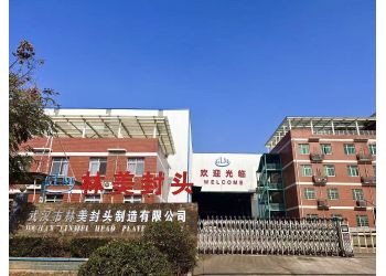 China Factory - Wuhan Linmei Head Plate Co., Ltd.