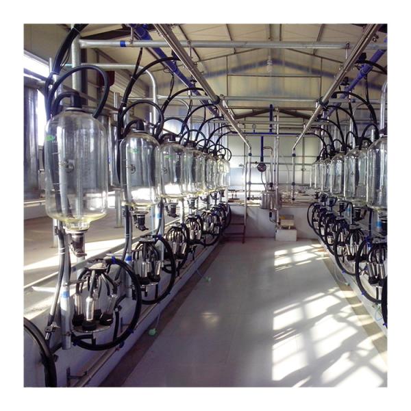 Quality Glass Jar Herringbone Type Cow Milking Parlour Automatic Milking System for sale