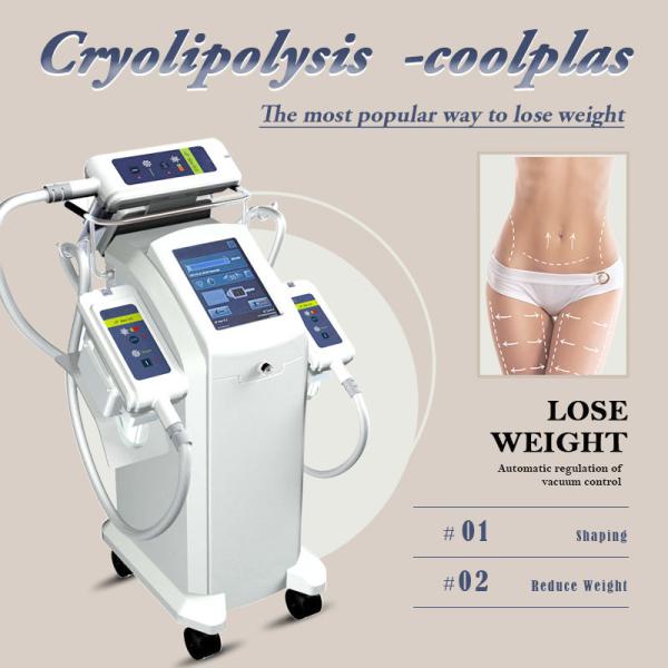 Quality Body Slimming Cryo Fat Reduction Machine , Cryolipolysis Equipment for sale