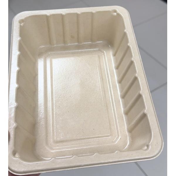 Quality Precision High-Efficiency Single-Station Pulp Molding Spin Coater - Integrated for sale
