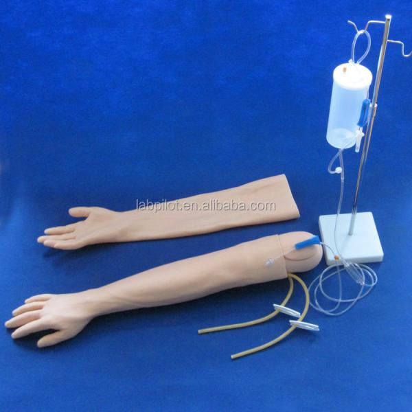 Quality Vivid Arm Model for IV Injection Training Multi-functional Clinical Nursing for sale