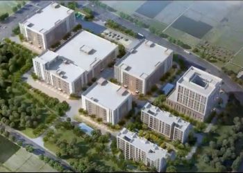 China Factory - Qingdao Meilianjia International Trade Co., Ltd