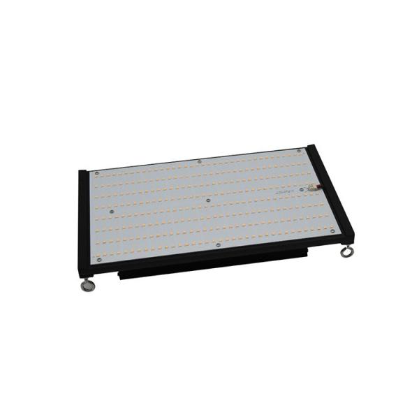 Quality 3500k Samsung LM301H LED Grow Light for sale