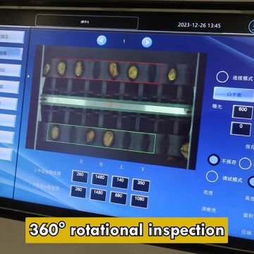 Quality Unlocking Efficiency Revolutionizing Palm Dates Sorting Machine with Cutting for sale