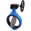 china Vulcanized NBR Valve Seat For Wafer / Lug / Flange Butterfly Valve 1 '' - 54 ''