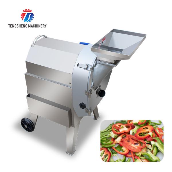 Quality 1.5KW 220/380V Industrial Stainless Steel Potato Slicer Machine TS-Q112A for sale