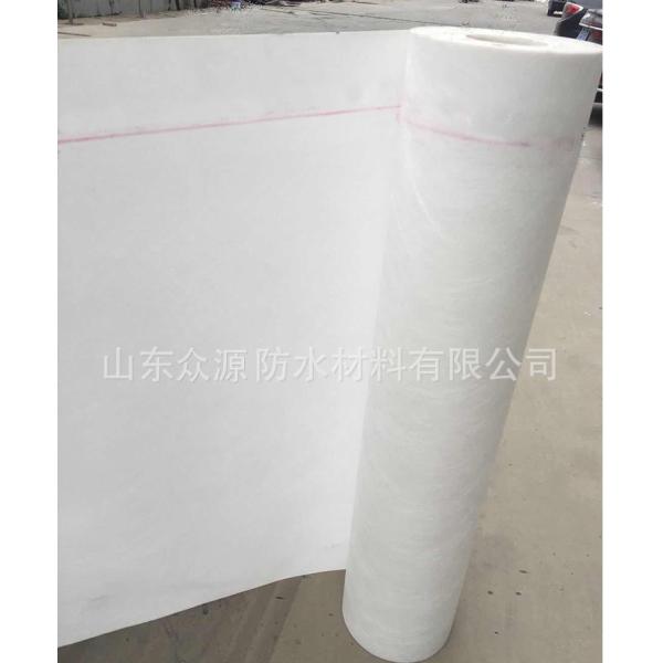 Quality Total Project Solutions with Polyethylene Waterproof Membrane and PP Non Woven for sale