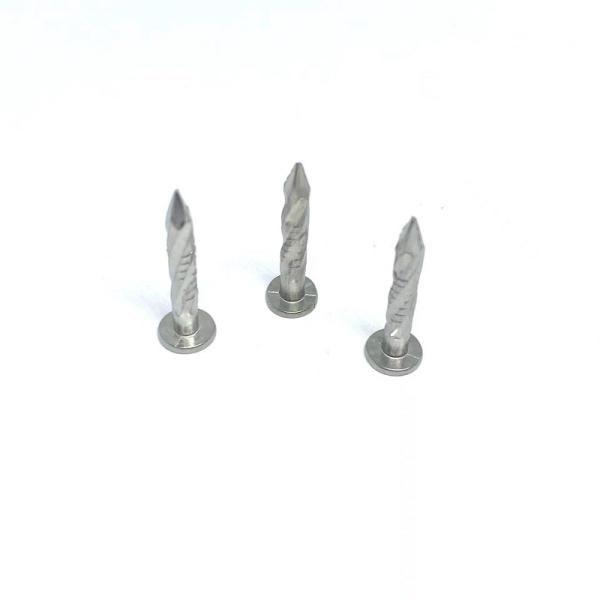 Quality Twist Shank 304 Stainless Steel Flat Head Nails Rust Protection for sale