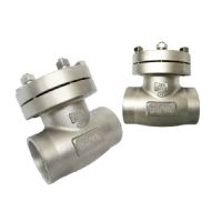 Quality Cf8 Cf3 Stainless Steel Cryogenic Swing Check Valve Rustproof for sale